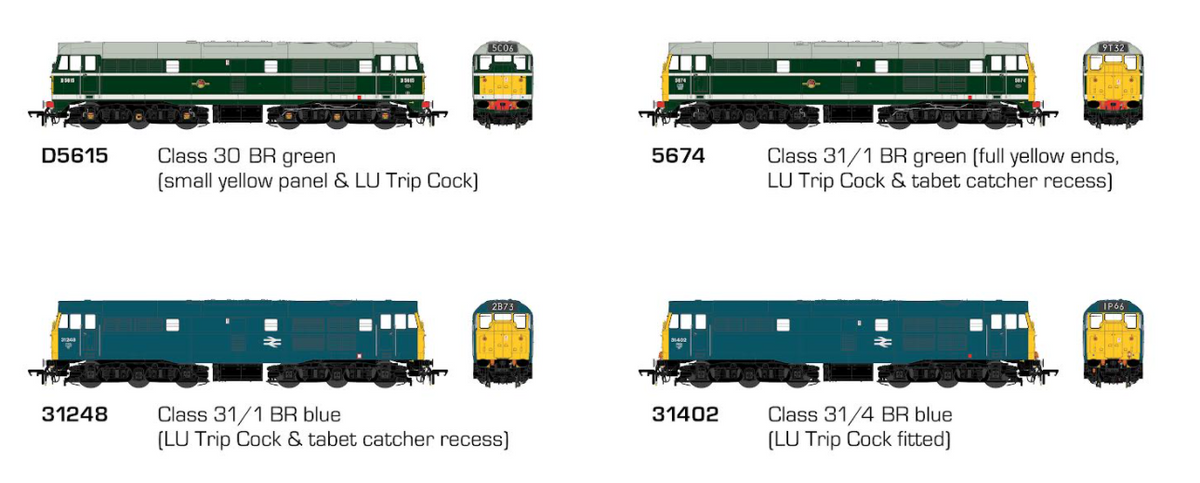 Accurascale Announce Further Class 31 in OO! – Rails of Sheffield
