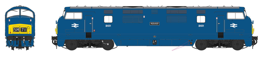 Class 42 'Warship' – Rails
