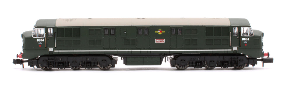 EFE Rail E84527 Class 41 'Warship' Disc Headcode D604 – Rails