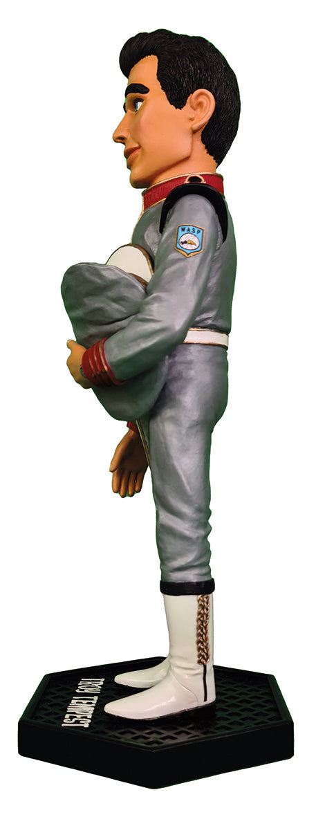 AIP AiP20001 Troy Tempest - Limited Edition 12" Stingray – Rails