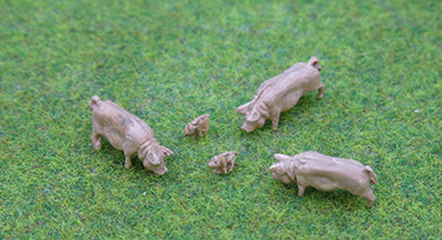 P & D Marsh OO Gauge Pigs – Rails of Sheffield
