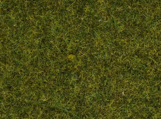Gaugemaster GM1322 Meadow 2.5mm Scatter Grass 30g – Rails
